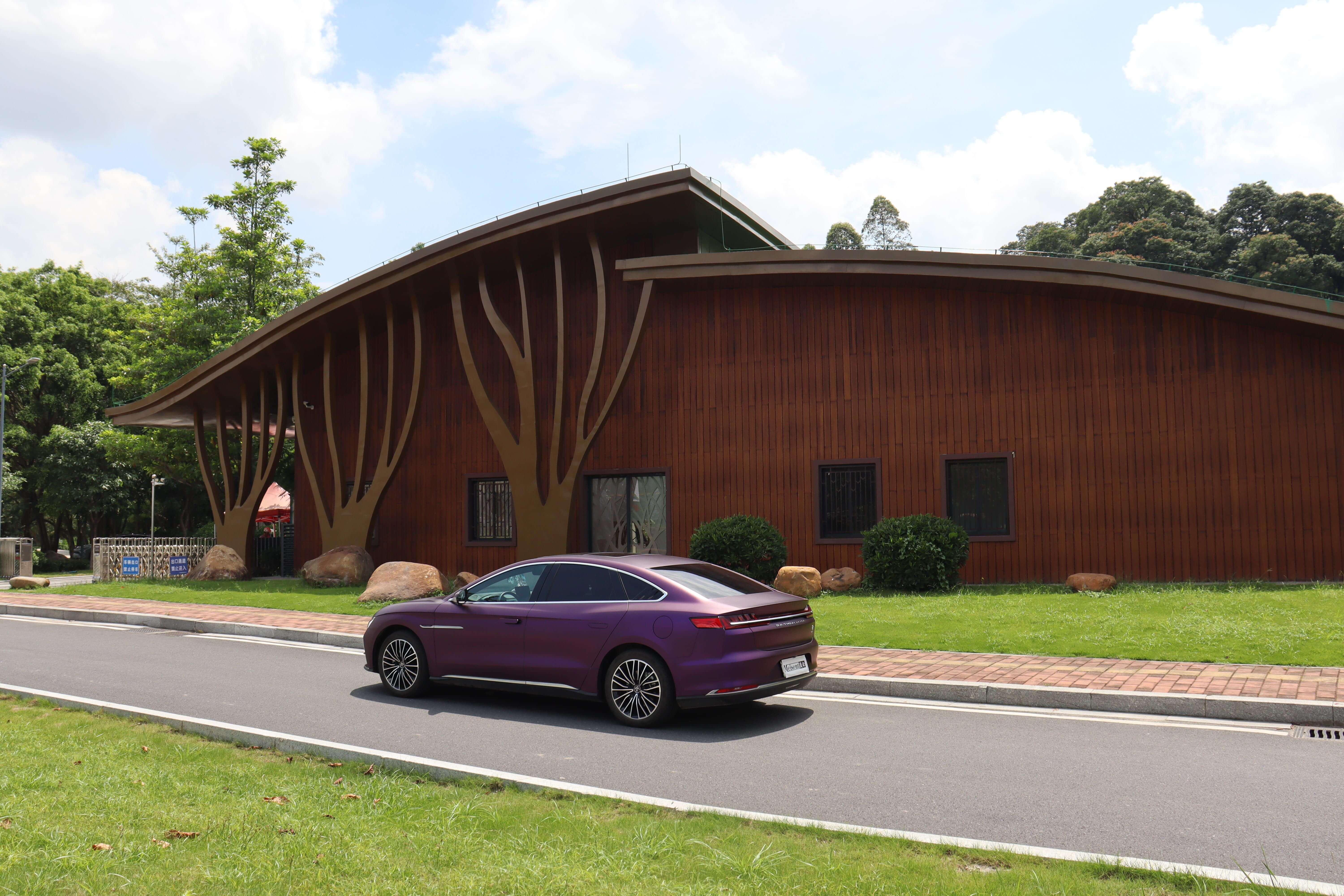 比亚迪汉 EV-超哑黑比诺紫 - Meisent Film 改色膜官网